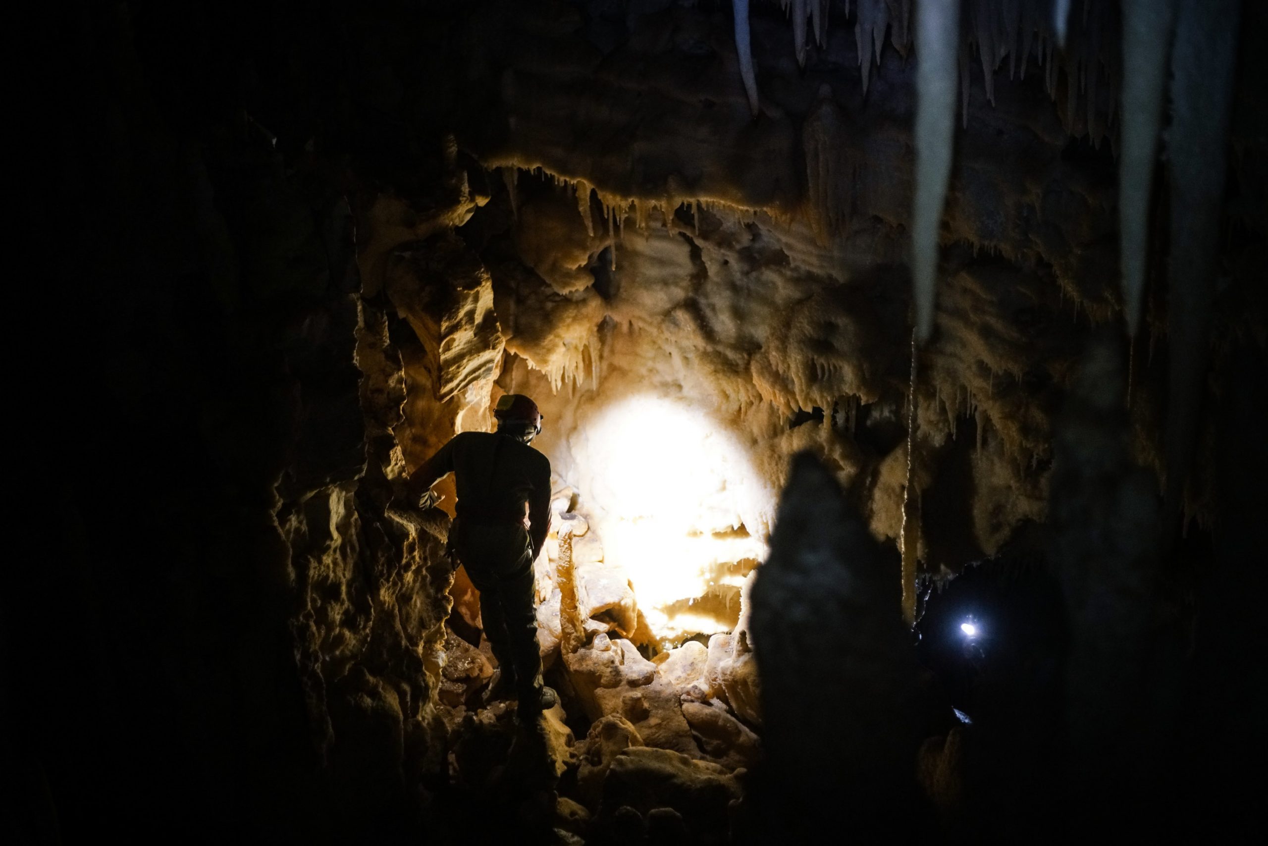 Grotte di Castellana, finanziata importante scoperta sull’estinzione ...